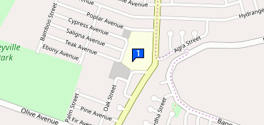 Flamingo Primary School, Gum Cres, Lenasia, Johannesburg, phone +27 11 ...