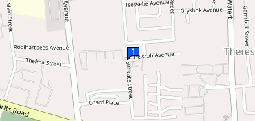 Tsessebe Place., Suricate St, Theresapark, Akasia, 0155