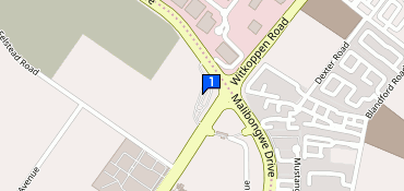 Steers, TotalEnergies Northriding Corner Malibongwe Drive ...