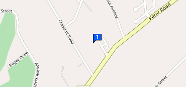 TORQUE RATS AUTO, and, 18 Peter Road, phone +27 72 581 5474