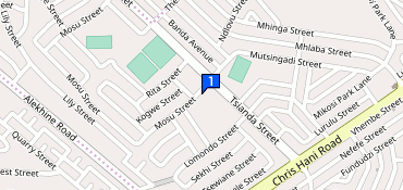 Elsie Ngidi Primary School, Mosu St, Chiawelo, Soweto, phone +27 11 980 ...
